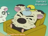 Category:Episode Gallery | The Hamtaro Wiki | Fandom