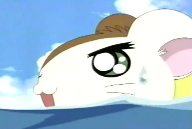 Hamtaro Laura Beach