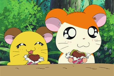 Hamtaro Maxwell E Sandy A Little Love Story! | The Hamtaro Wiki