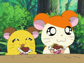 Tater's Warm Love | The Hamtaro Wiki | Fandom