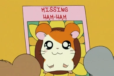 Hamtaro Sandy E Maxwell