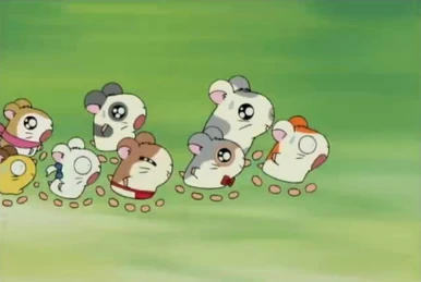 Hamtaro Stan Og Sand Come On, Stan! | The Hamtaro Wiki | Fandom