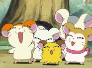 Appearance of the Muha-Muha Alien!/Gallery | The Hamtaro Wiki | Fandom