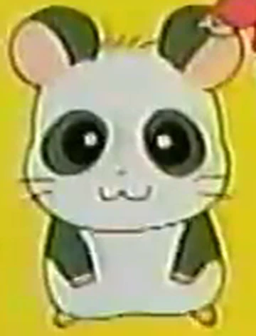 Hamtaro Characters Panda