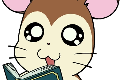 Carachtair Hamtaro Cappy Cappy/Gallery | The Hamtaro Wiki | Fandom