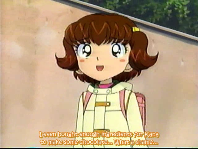 Mystery of the Valentine Chocolate!/Gallery | The Hamtaro Wiki | Fandom