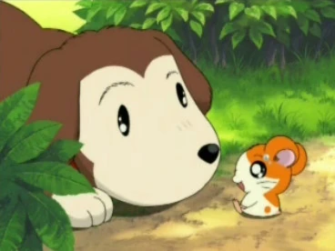 The Lovable Brandy | The Hamtaro Wiki | Fandom