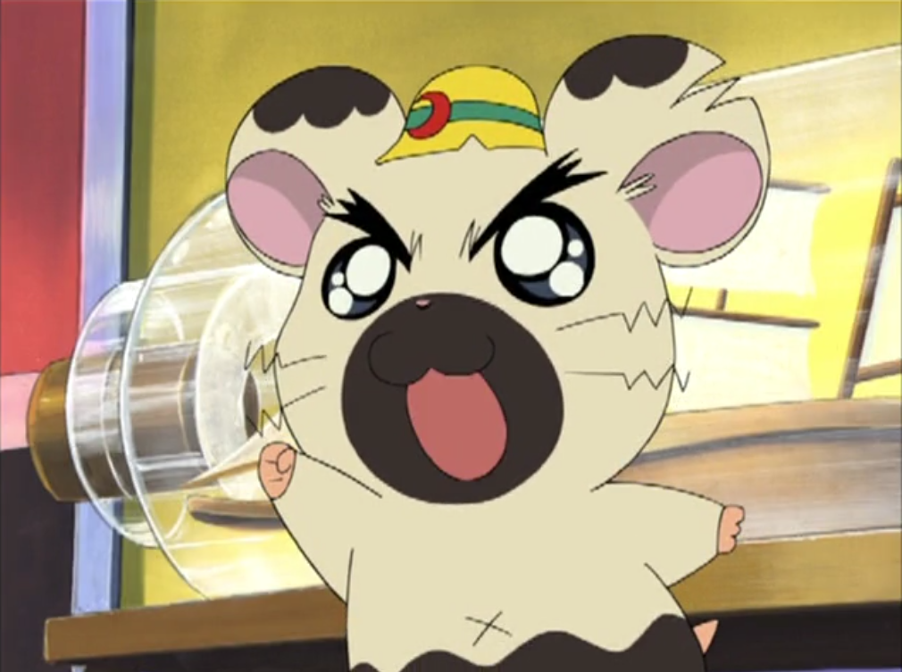 We Have Arrived! Djungle Kingdom/Gallery | The Hamtaro Wiki | Fandom