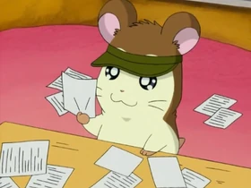 Hamtaro Sandy Und Maxwell