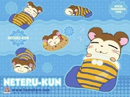 Snoozer | The Hamtaro Wiki | Fandom