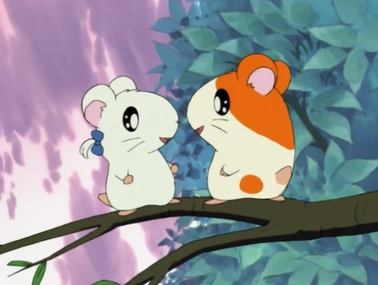 Come Out, Bijou! | The Hamtaro Wiki | Fandom