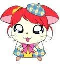 Kago | Hamtaropedia Wiki | Fandom