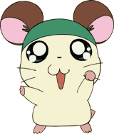 Cappy | Hamtaropedia Wiki | Fandom