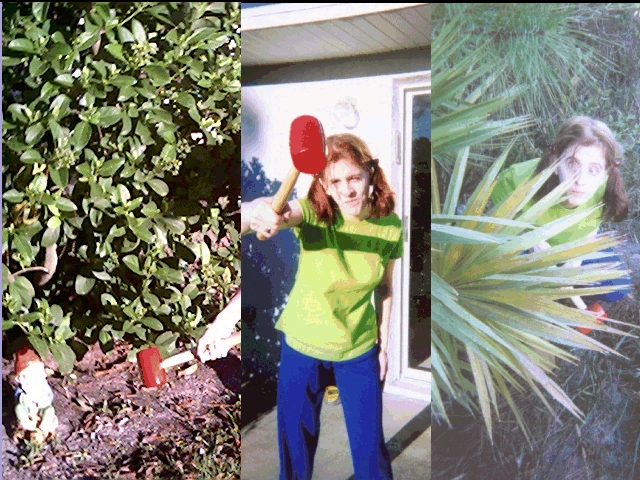 Lisa Keck | Hamumu Wiki | Fandom