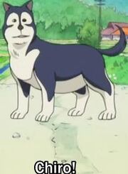 Chiro | Hanada Shōnen Shi Wiki | Fandom