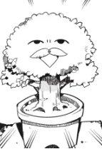 Kodama | Jibaku Shounen Hanako-kun Wiki | Fandom