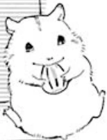 White Inferno | Jibaku Shounen Hanako-kun Wiki | Fandom