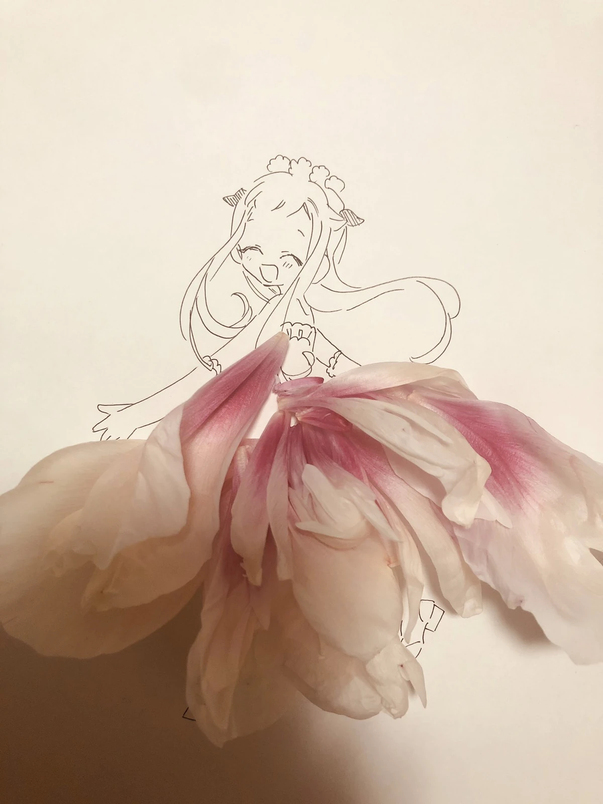 User blog:KOUMINAMOTO14/NENE DRAWING | Jibaku Shounen Hanako-kun Wiki ...