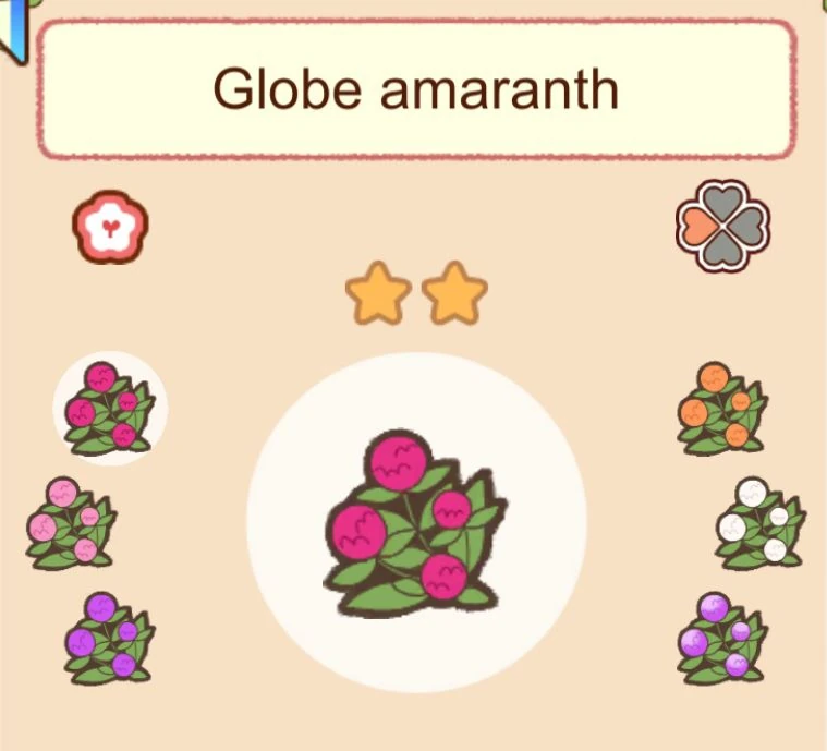 Globe amaranth | Hananezumi Wiki | Fandom