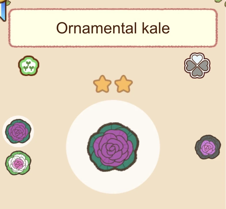 Ornamental kale | Hananezumi Wiki | Fandom