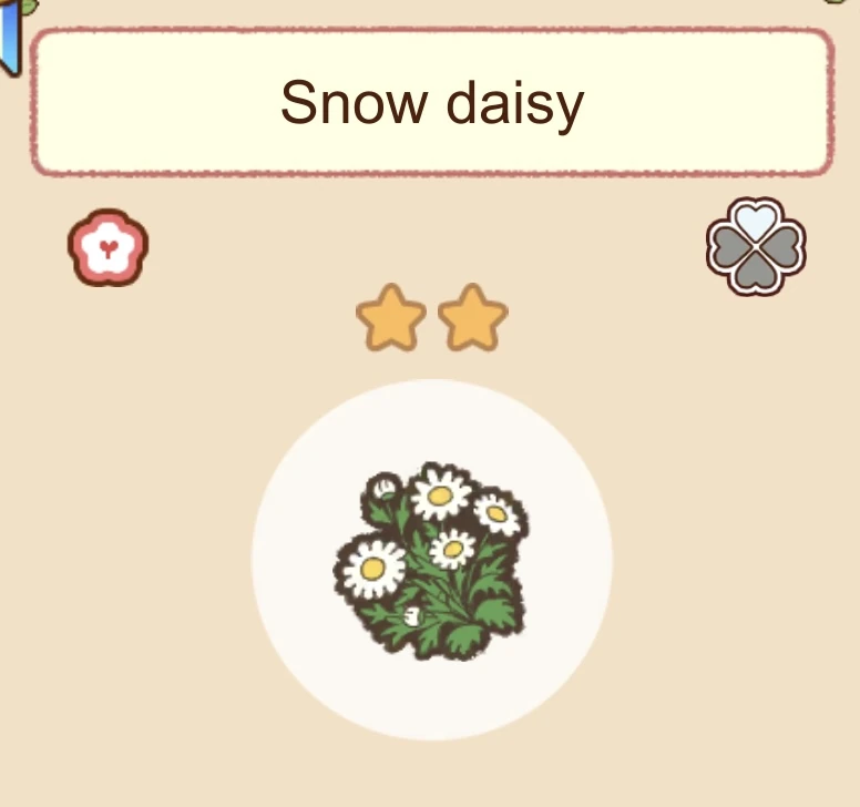 Snow daisy | Hananezumi Wiki | Fandom