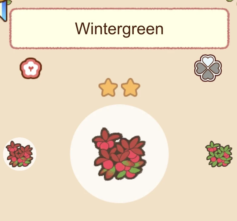 Wintergreen | Hananezumi Wiki | Fandom