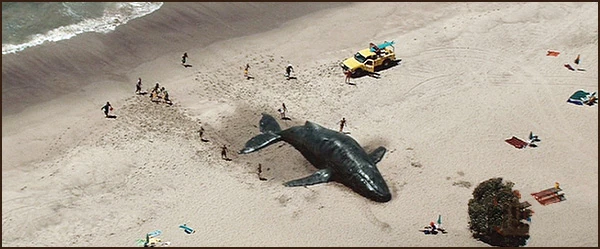 Walter The Whale | Hancock Wiki | Fandom