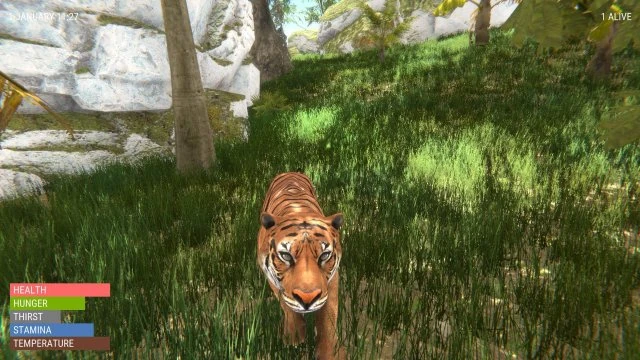 Tiger | Hand Simulator Wiki | Fandom