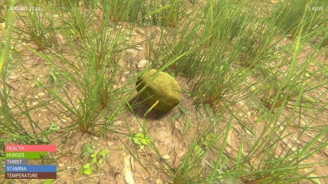 Coconut | Hand Simulator Wiki | Fandom