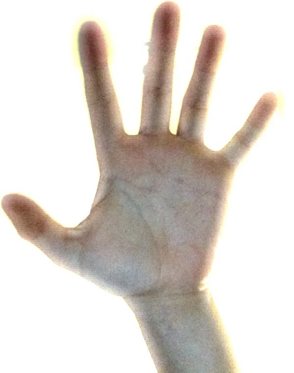 Hands | Handitopian Wikia | Fandom