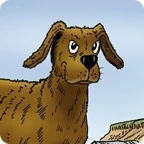 Hank (character) | Hankapedia Wiki | Fandom