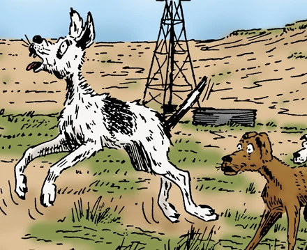 Plato | Hankapedia Wiki | Fandom