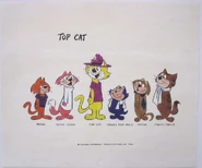Top Cat (character) | Hanna-Barbera Wiki | Fandom
