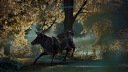The Stag (TV) | Hannibal Wiki | Fandom