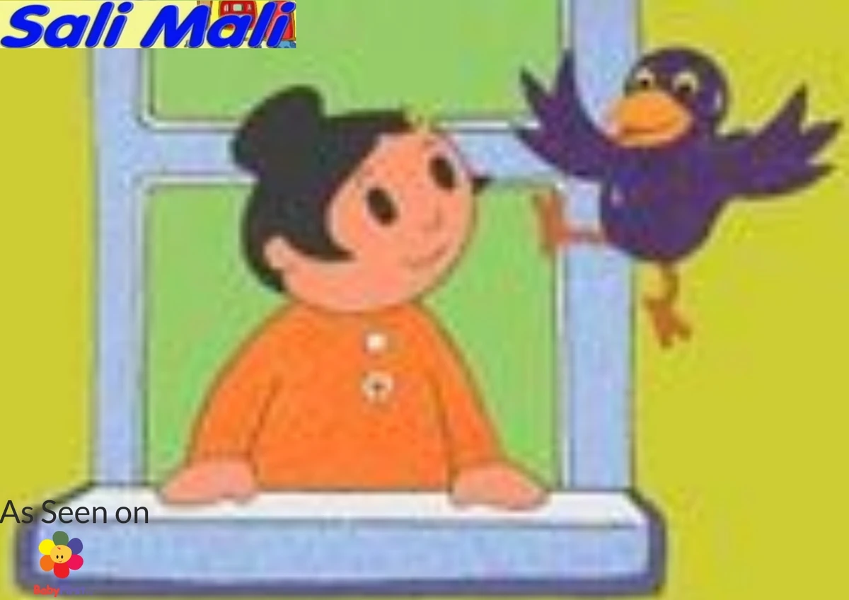 Sali Mali | Happy Birthday, Favorite TV Programs Wiki | Fandom