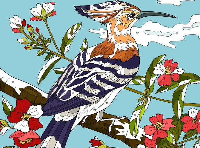 Happy Color Wiki | Fandom