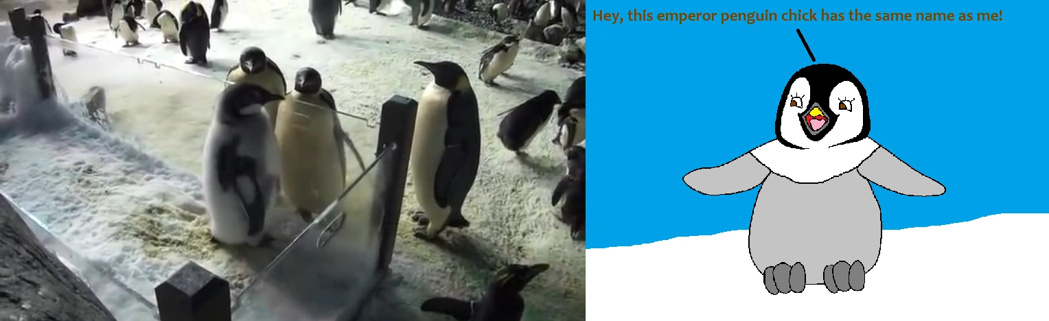 how to draw gloria from happy feet