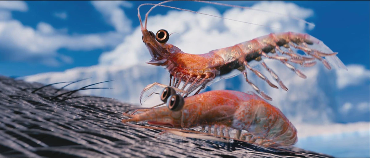 Will the Krill | Happy Feet Fanon Wiki | Fandom