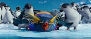 Penguin | Happy Feet Fanon Wiki | Fandom