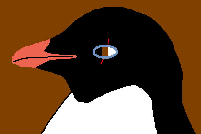 Mr. Leandro | Happy Feet Fanon Wiki | Fandom