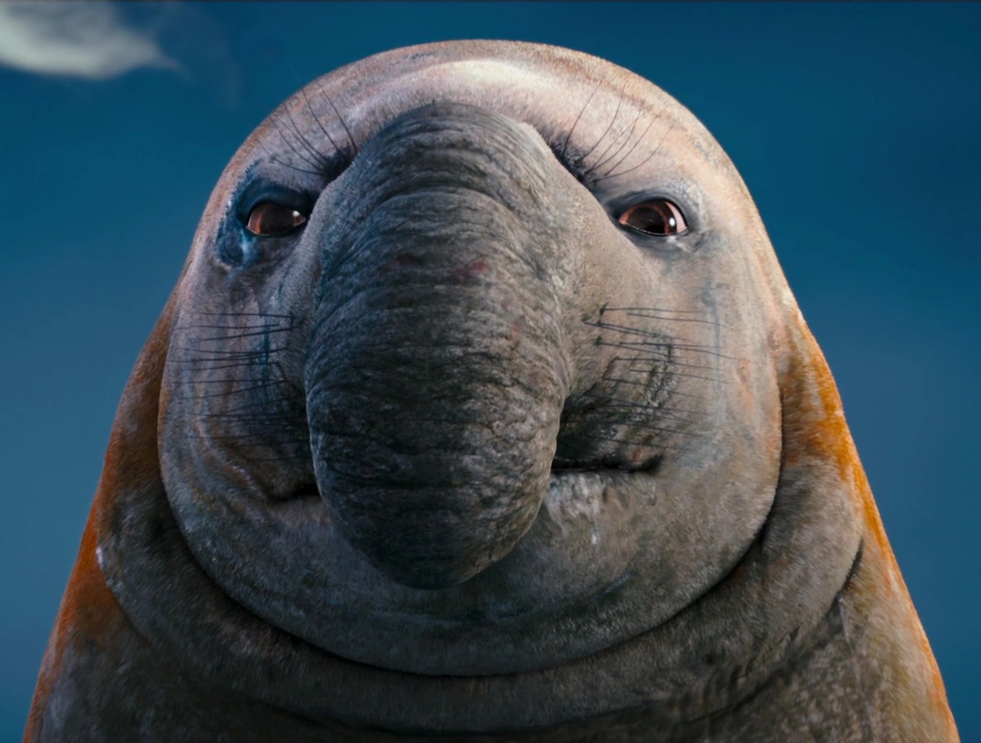 Category:Elephant Seals | Happy Feet Fanon Wiki | Fandom