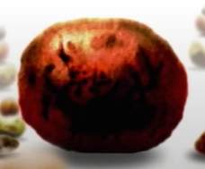 Rocks | Happy Game Wiki | Fandom