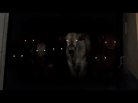 Happy Meat Farms HR Orientation Video | Happy Meat Farms ARG Wiki | Fandom