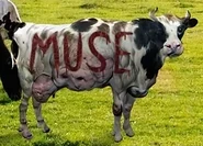 M0097 | Happy Meat Farms ARG Wiki | Fandom