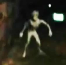 Forenzik | Happy Appy Wiki | Fandom