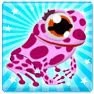 Spotted Pink Frog | Happy Aquarium Wiki | Fandom