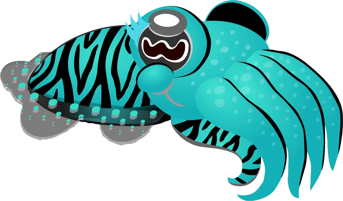 Turquoise Cuttlefish | Happy Aquarium Wiki | Fandom