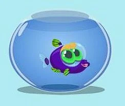 Barreleye Fish | Happy Aquarium Wiki | Fandom