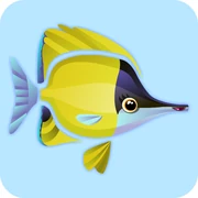 Forceps fish | Happy Aquarium Wiki | Fandom