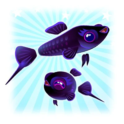 Black Swordtail fish | Happy Aquarium Wiki | Fandom